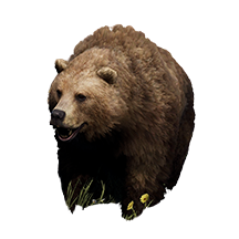 RustyRemains Leaderboards